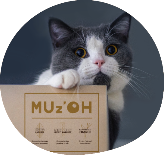 Aliments frais et sains pour chiens et chats - MUz'OH