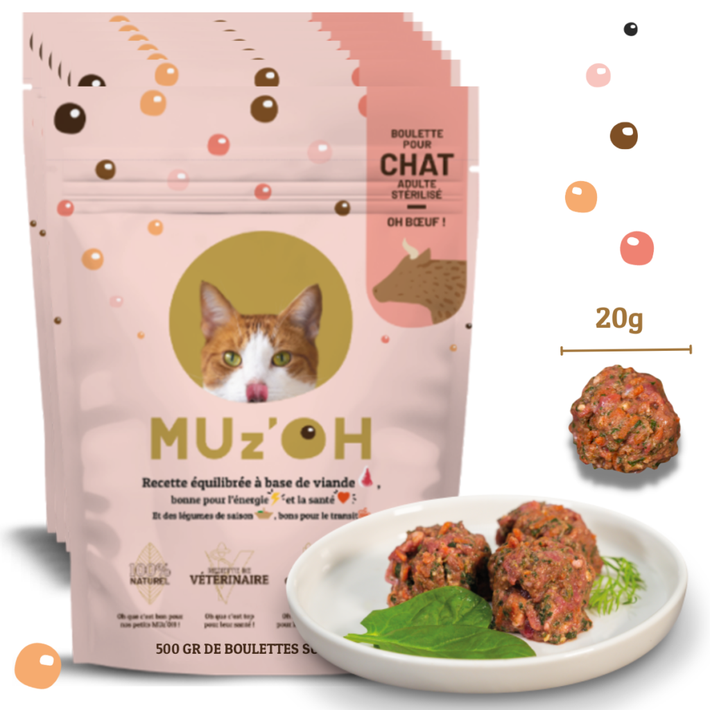 Lot de 3kg de BARF OH' Bœuf pour chat - MUz'OH