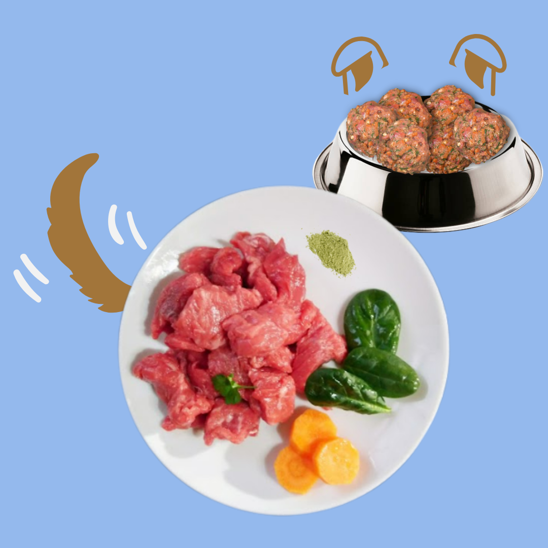 Aliments frais et sains, BARF pour chien et chat - MUz'OH