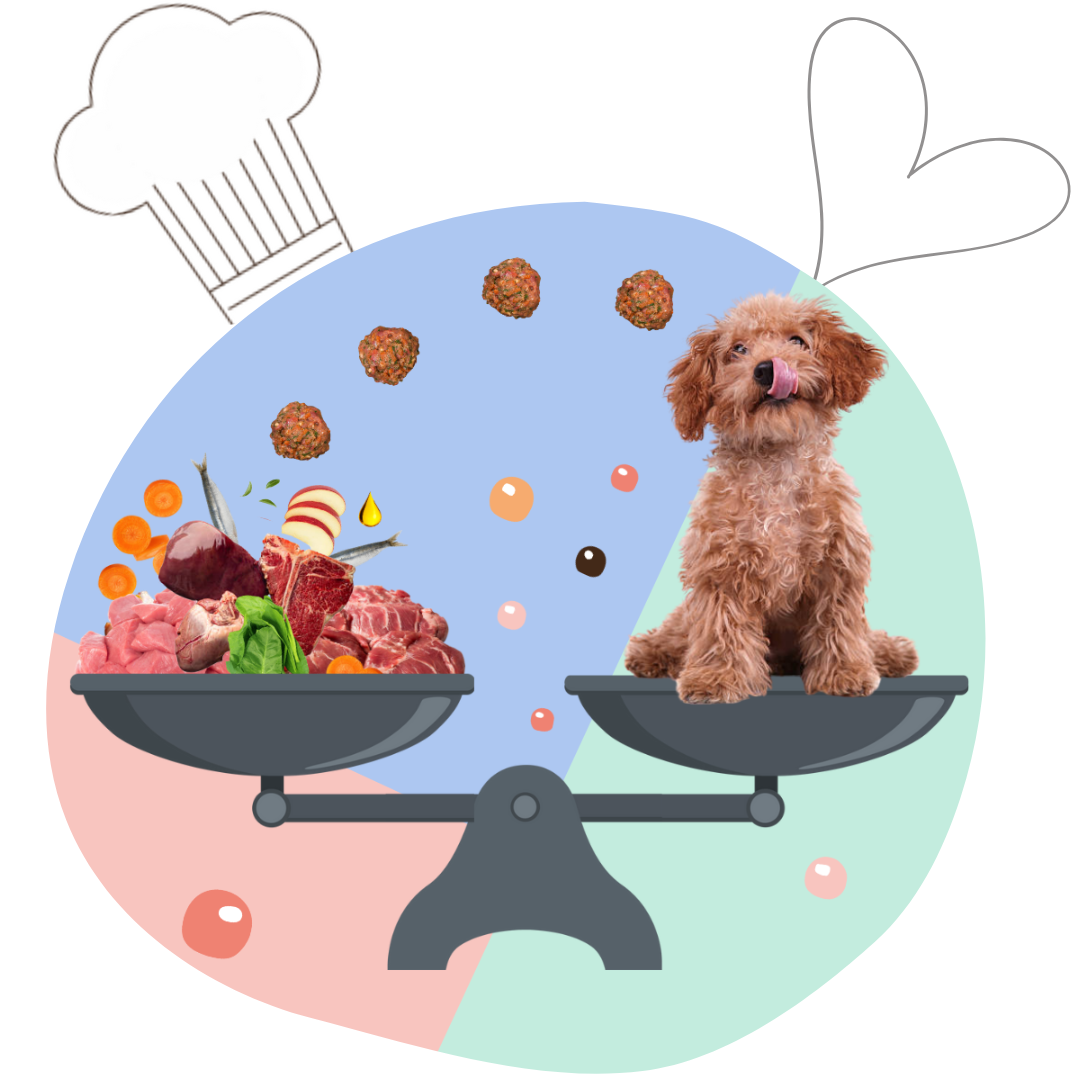 Aliments frais et sains, BARF pour chien et chat - MUz'OH